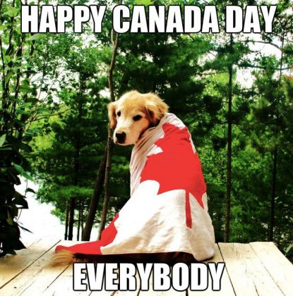 Happy Canada Day 2025 Memes, Jokes for Instagram, Facebook & Whatsapp