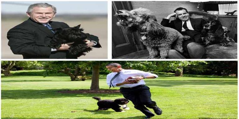 National Checkers Day 2025: History, Celebration, Quotes, Captions ...