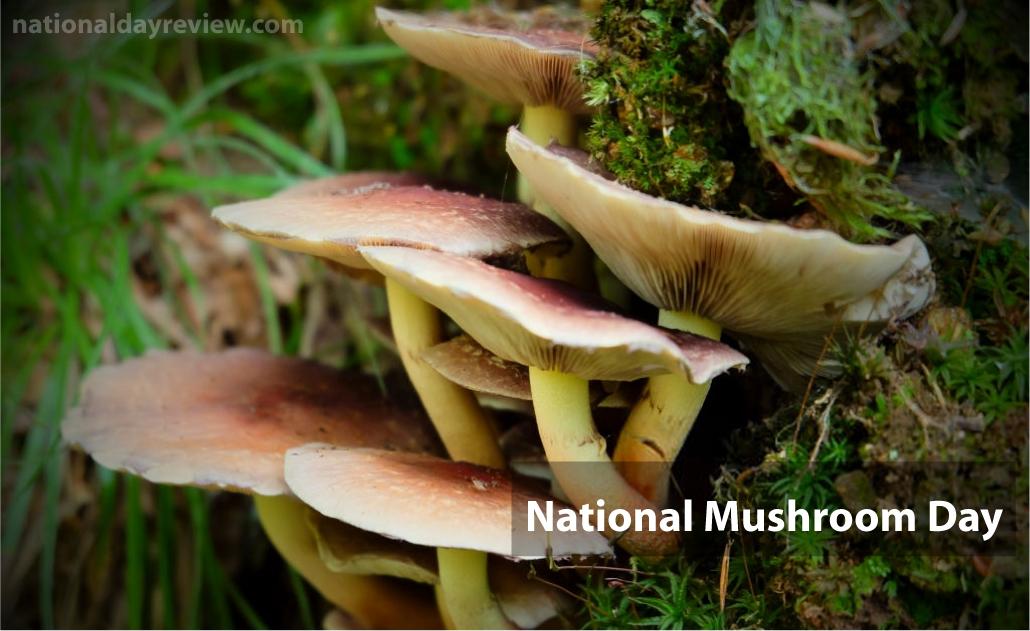 National Mushroom Day 2026: Messages, Quotes, Wishes, Facts