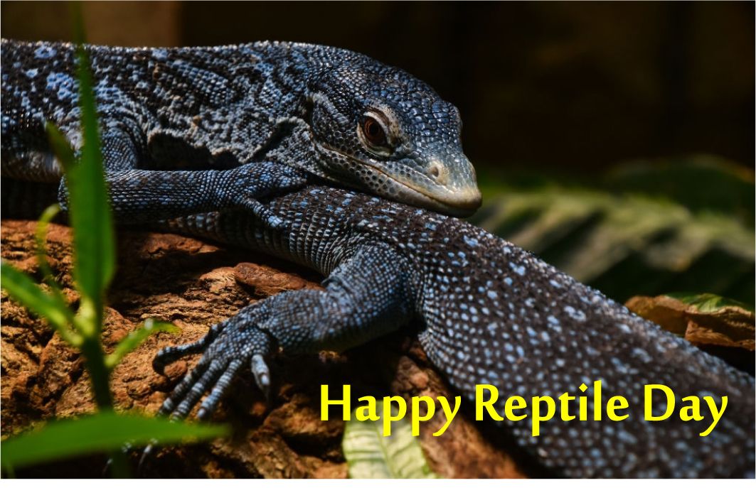 National Reptile Day 2025: Wishes, Messages, Quotes - National Day Review