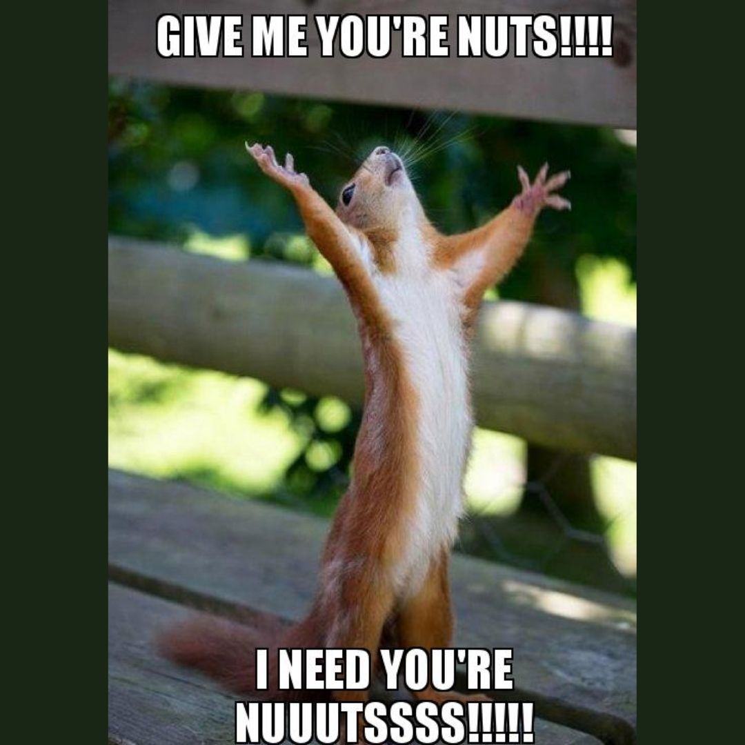 Happy National Nut Day 2026: Quotes, Wishes, Messages, Images, meme